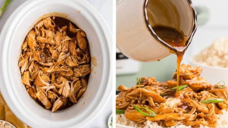 Super Easy Slow Cooker Teriyaki Chicken Recipe - DIY Joy