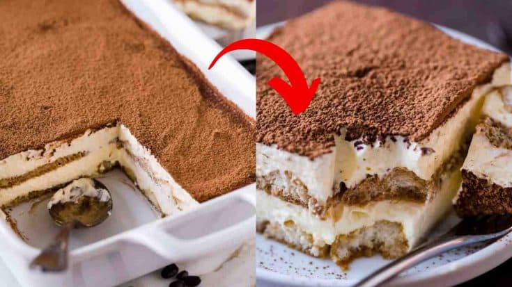 No-Bake Tiramisu Cake Recipe - DIY Joy