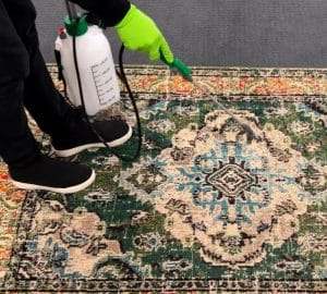 How to Clean Your Rug at Home (No Professional Equipment Needed) - DIY Joy