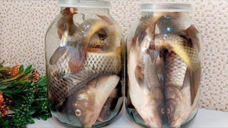 How to Keep Fish Fresh for 1 Year - DIY Joy