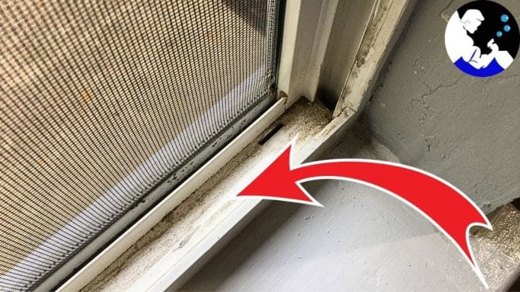 Learn the Easiest Way to Clean Window Tracks - DIY Joy