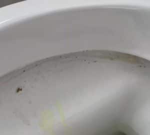 Pro Toilet Cleaning Hack Using a Fork - DIY Joy