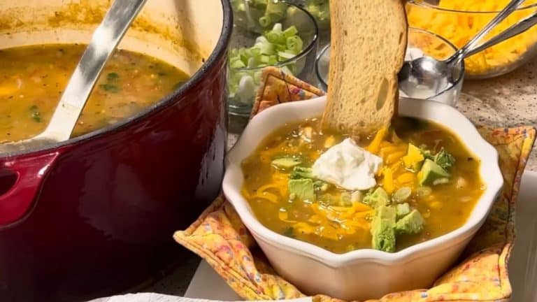 Chicken Chile Soup Recipe - DIY Joy