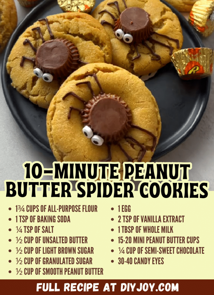 Easy 10-Minute Peanut Butter Spider Cookies Recipe - DIY Joy