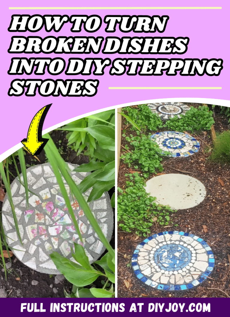 How to Make a DIY Plate Yard Stepping Stone - DIY Joy