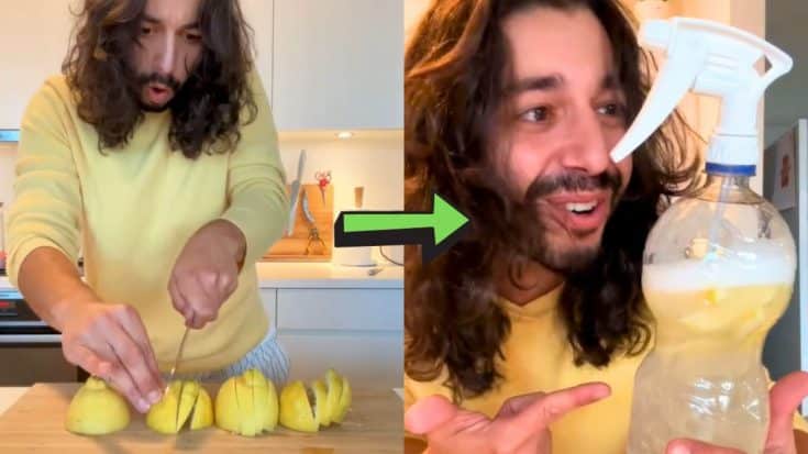 How to Make a Cleaning Spray Out of Lemon Peels - DIY Joy