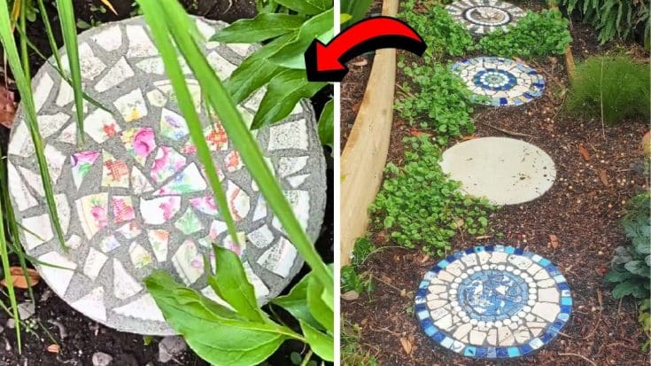 How to Make a DIY Plate Yard Stepping Stone - DIY Joy