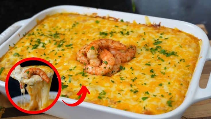 Quick and Easy Creole Shrimp Dip - DIY Joy