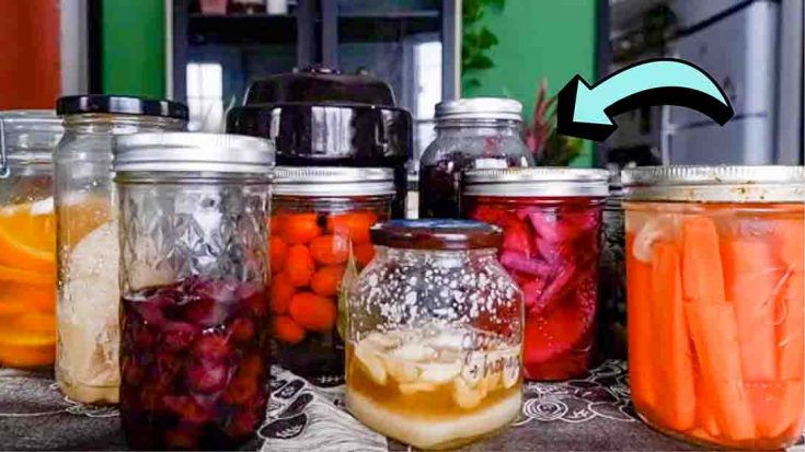 5 Ways to Preserve Food Without Canning or Freezing - DIY Joy