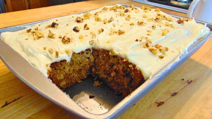 Easy Old-Fashioned Preacher Cake Recipe - DIY Joy