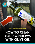 How to Clean Your Windows with Olive Oil - DIY Joy