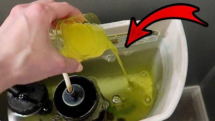 Toilet Tank Trick Plumbers Don't Want You to Know - DIY Joy