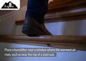 How to Prevent Window Condensation in Your Home - DIY Joy