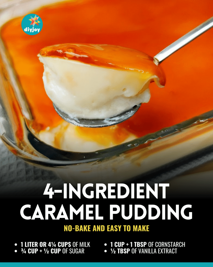 Easy 4-Ingredient Caramel Pudding Recipe - DIY Joy