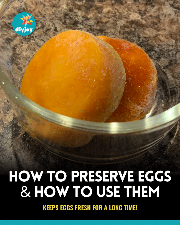 How to Preserve Eggs & How to Use Them - DIY Joy