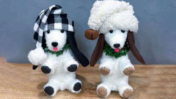 How to Make a Toy Dog Using a Sock - DIY Joy