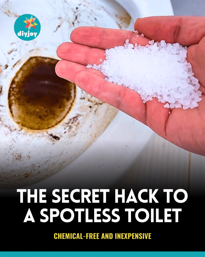 Learn The Secret Hack To A Spotless Toilet - DIY Joy