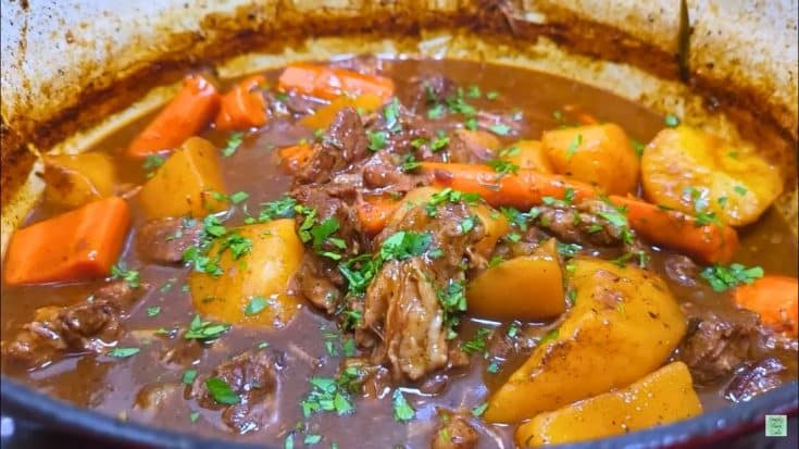 One Pot Oven Beef Stew - DIY Joy