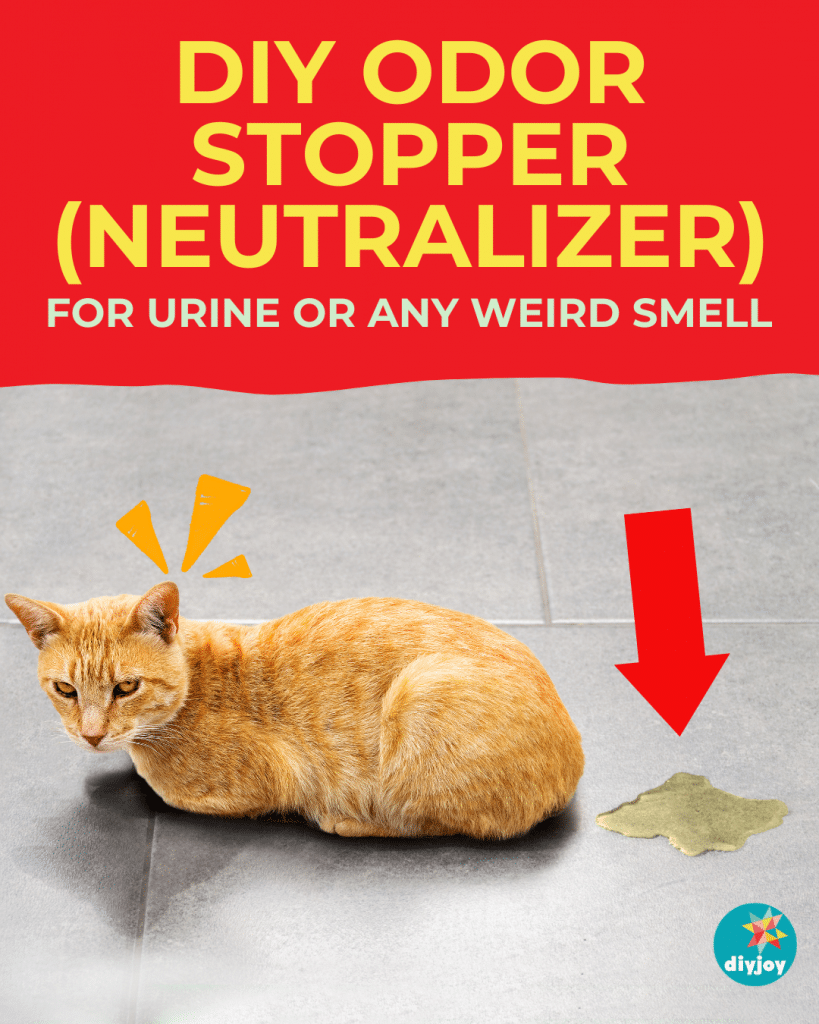 DIY Odor Stopper Solution (Neutralizer)
