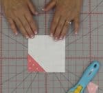Pecking Order Quilt With Jenny Doan - DIY Joy