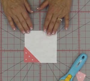 Pecking Order Quilt With Jenny Doan - DIY Joy