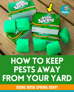 How to Keep Yard Pests Away Using Irish Spring Soap - DIY Joy