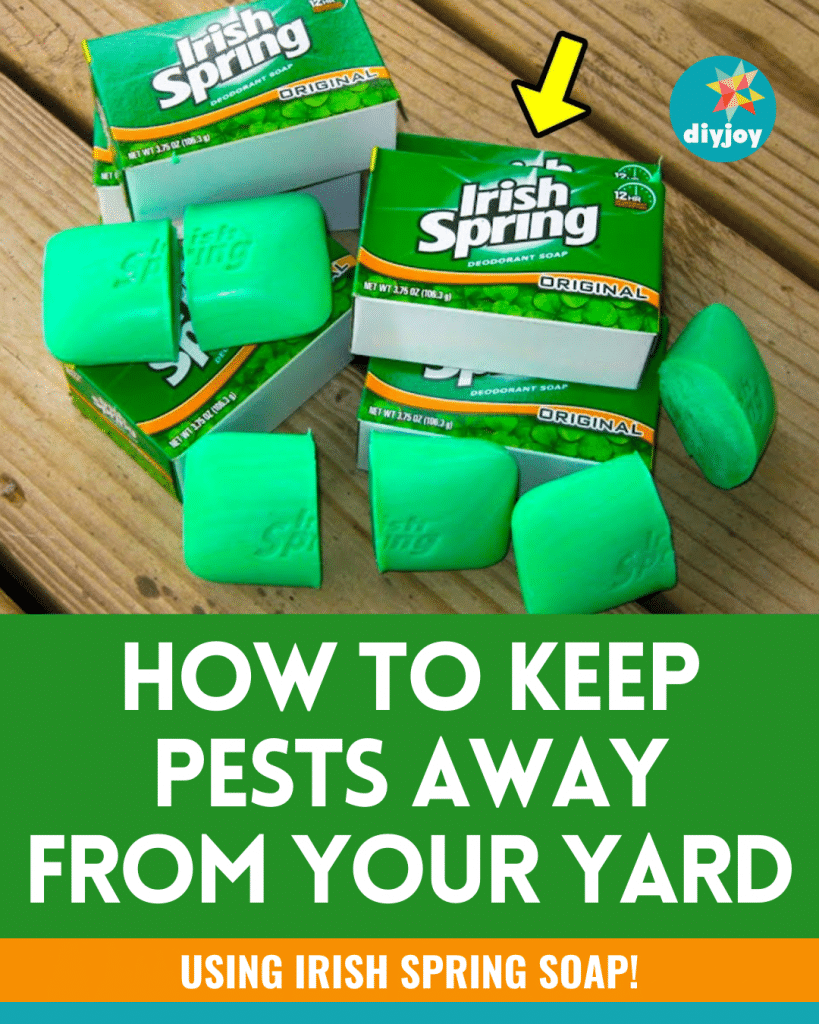 How to Keep Yard Pests Away Using Irish Spring Soap - DIY Joy