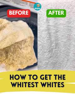 How to Get the Whitest Whites