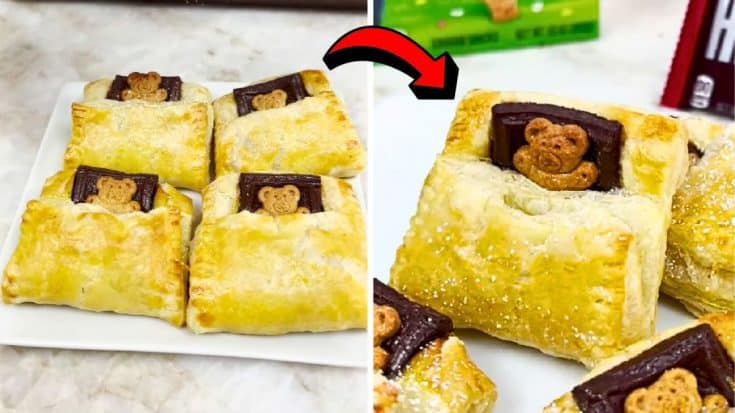 Viral “Teddy Bears In a Blanket” Recipe - DIY Joy