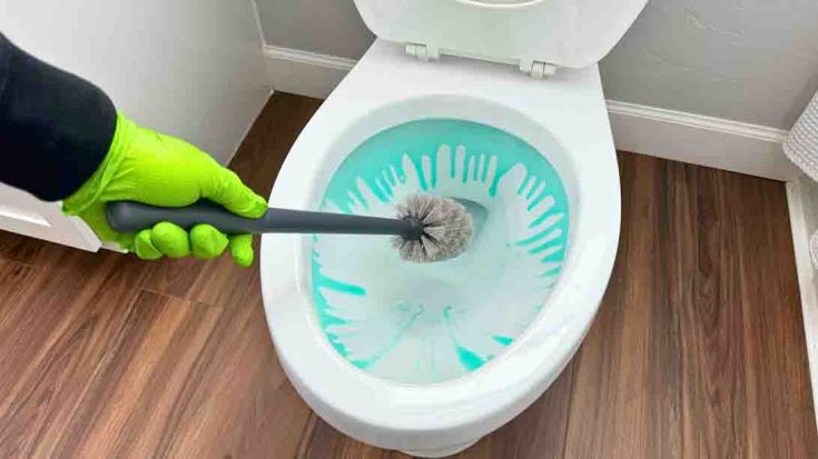 10 Things To Know About Cleaning Your Toilet - DIY Joy