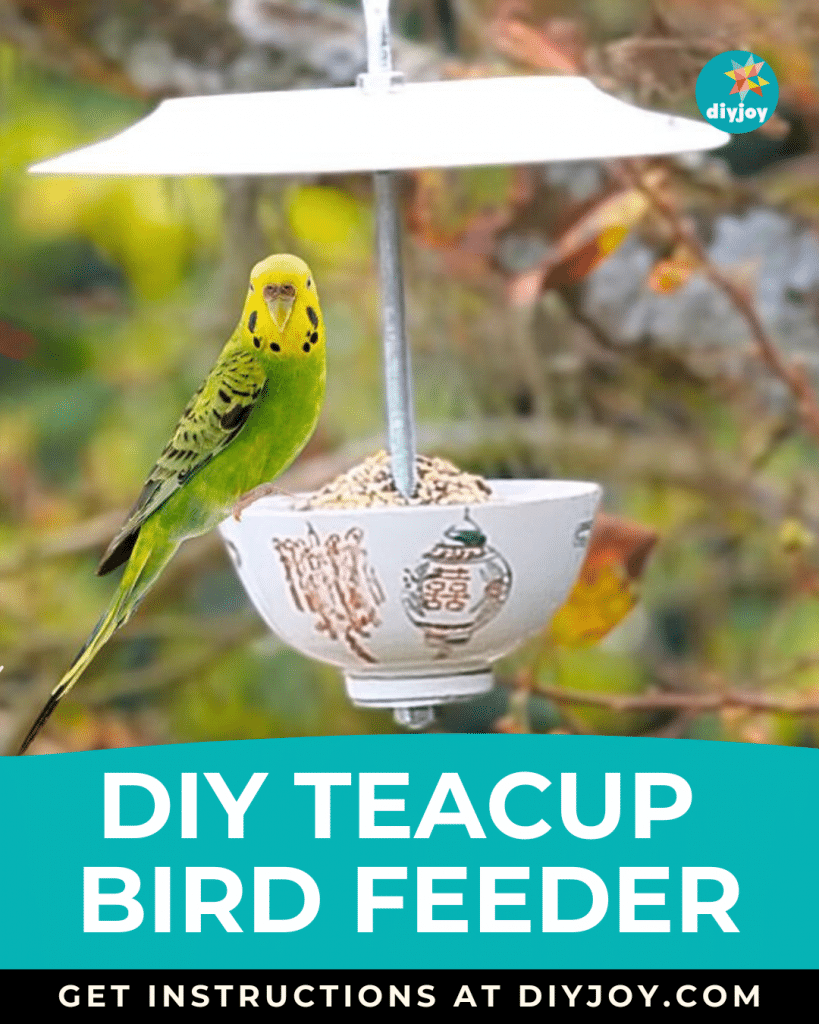 DIY Teacup Bird Feeder