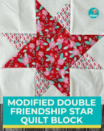 Modified Double Friendship Star Quilt Block