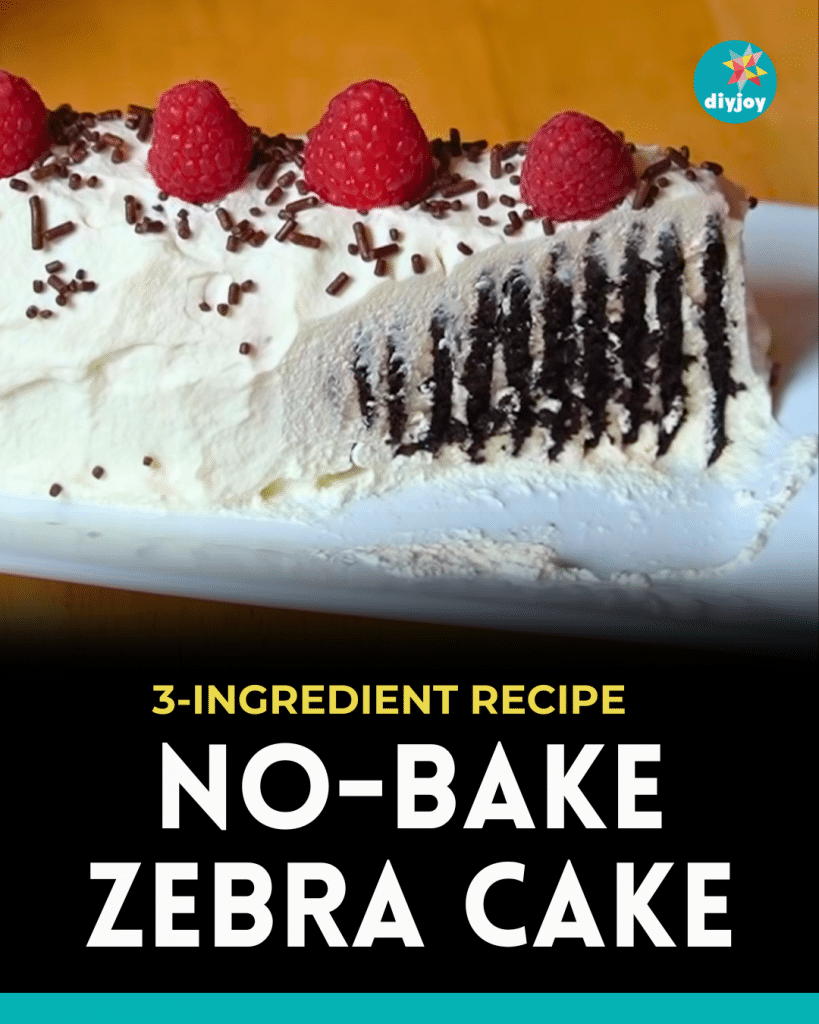 3-Ingredient No-Bake Zebra Cake - DIY Joy