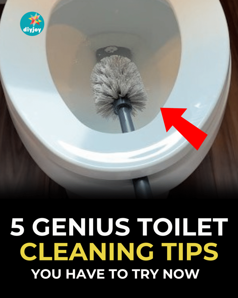 5 Genius Toilet Cleaning Tips You Have to Try Now - DIY Joy