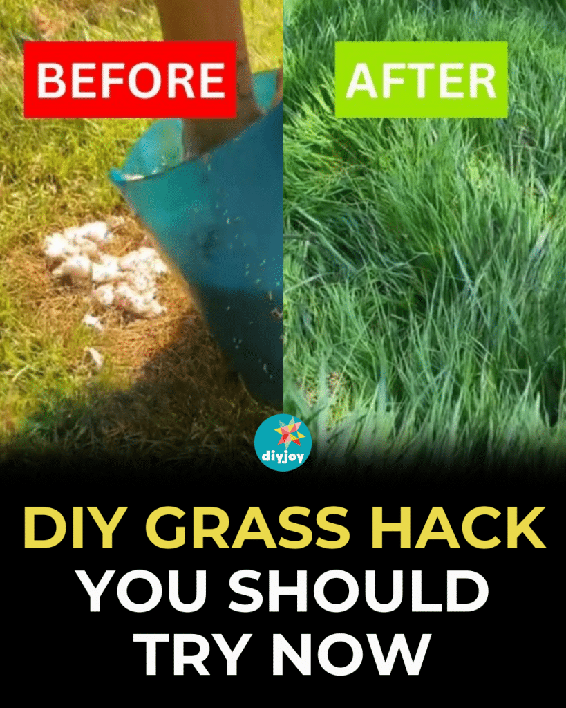 DIY Grass Hack You Should Try Now