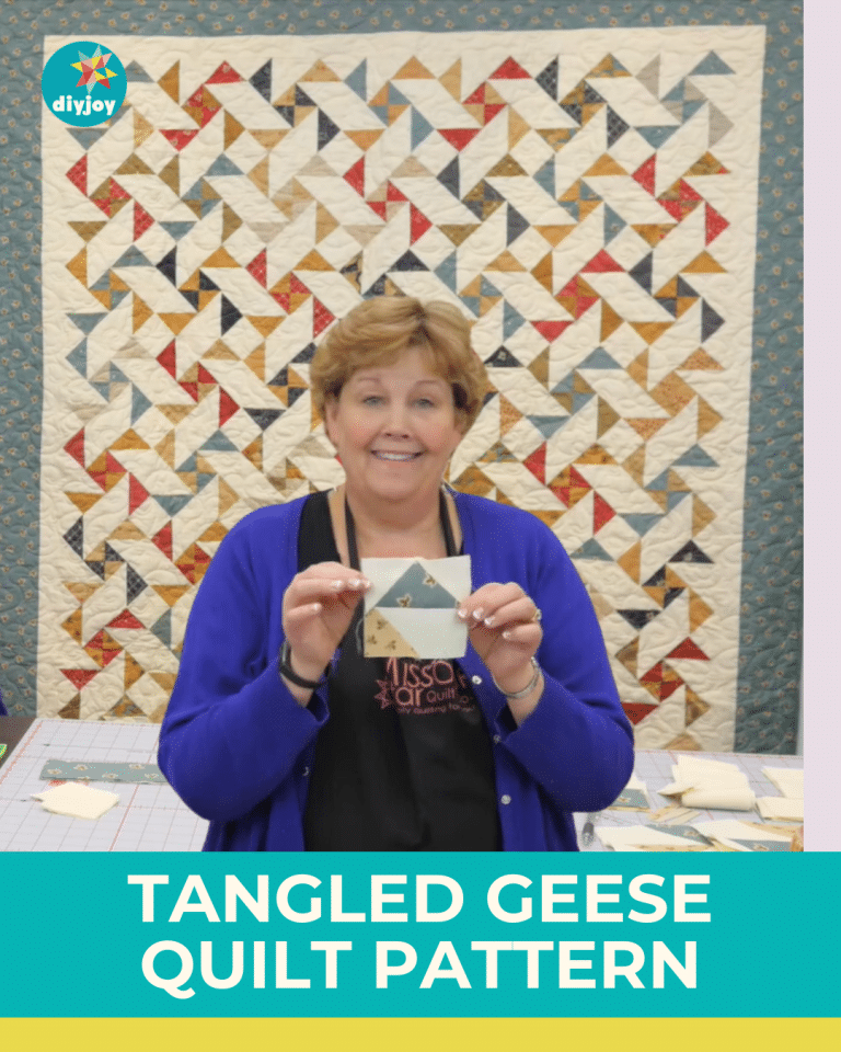 Tangled Geese Quilt With Jenny Doan