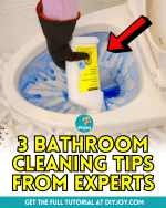 3 Bathroom Cleaning Tips from Experts - DIY Joy