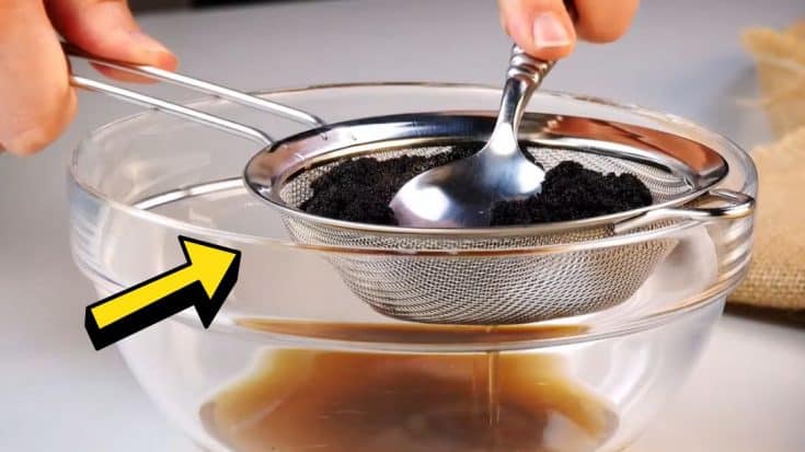 8 Clever Ways to Reuse Coffee Grounds - DIY Joy