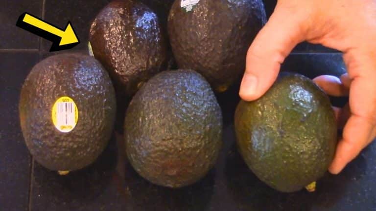 How to Tell If an Avocado Is Ripe and Good to Eat - DIY Joy