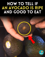 How to Tell If an Avocado Is Ripe and Good to Eat
