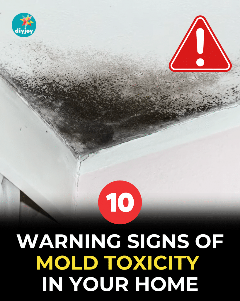 10 Warning Signs of Mold Toxicity in Your Home