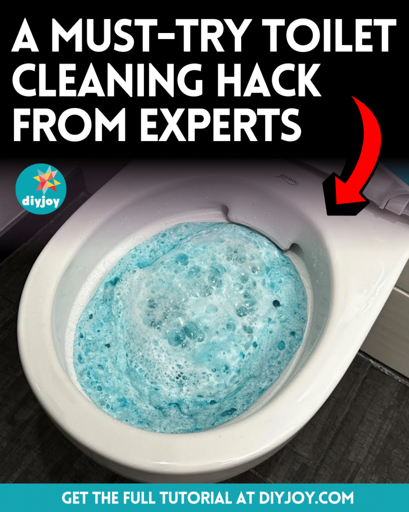 A Must-Try Toilet Cleaning Hack from Experts - DIY Joy