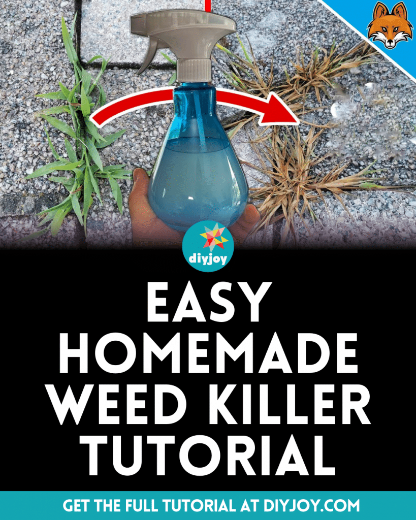 Easy Homemade Weed Killer Tutorial - DIY Joy