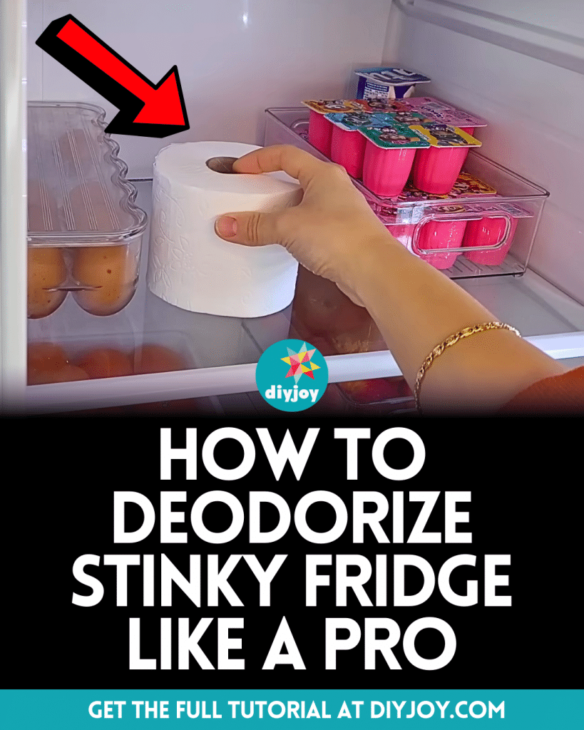How to Deodorize Stinky Fridge Like a Pro - DIY Joy