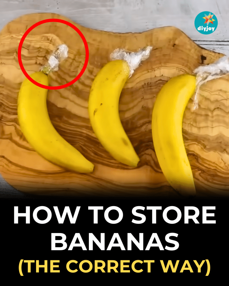 How to Store Bananas The Correct Way