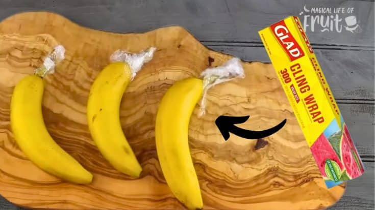 How to Store Bananas The Correct Way - DIY Joy