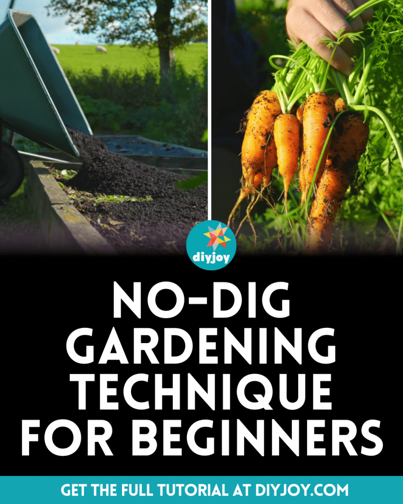 No-Dig Gardening Technique for Beginners - DIY Joy