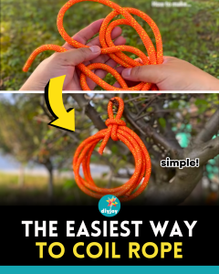 The Easiest Way to Coil Rope