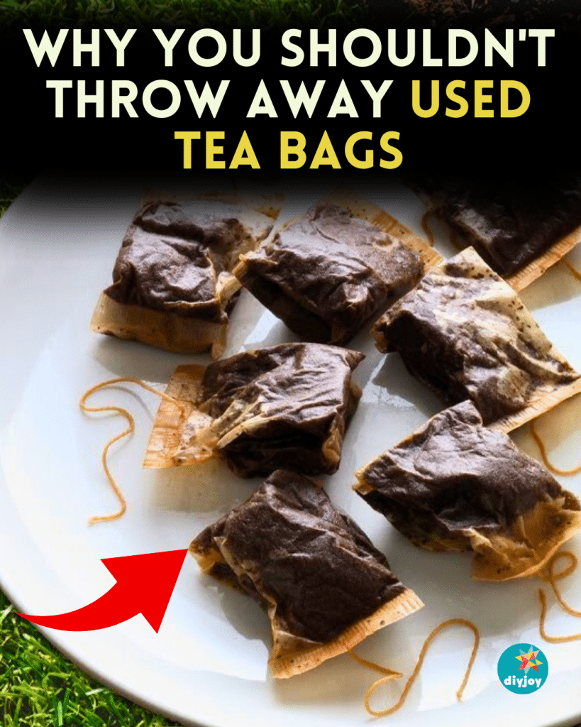Why You Shouldn't Throw Away Used Tea Bags