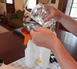 DIY Natural Mosquito and Tick Repellent Spray - DIY Joy